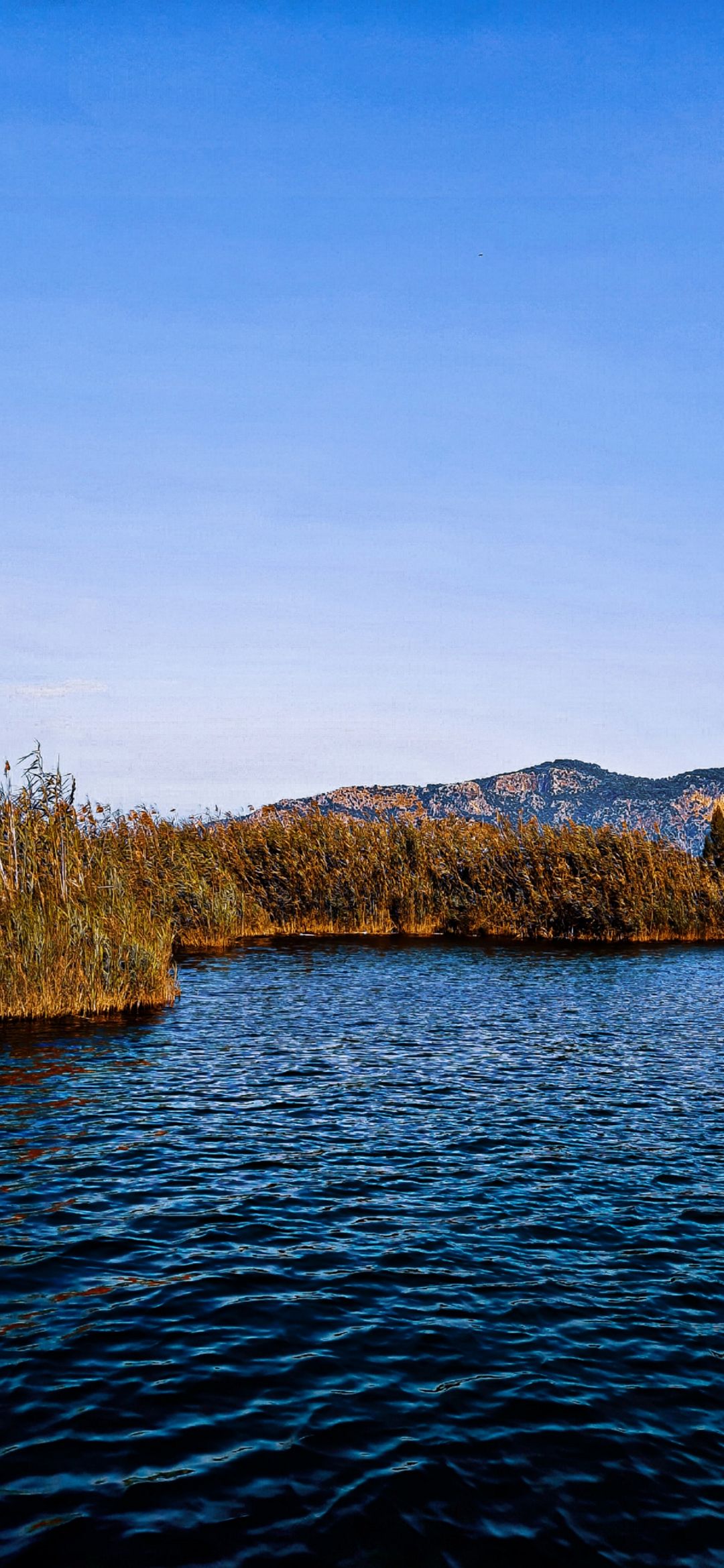 Lake Phone Wallpaper - 012