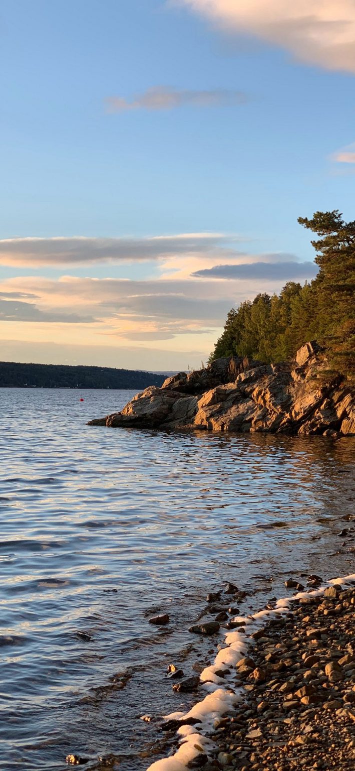 Lake Phone Wallpaper - 034