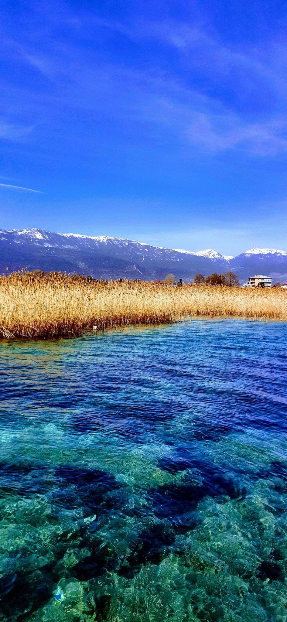 Lake Phone Wallpaper - 052