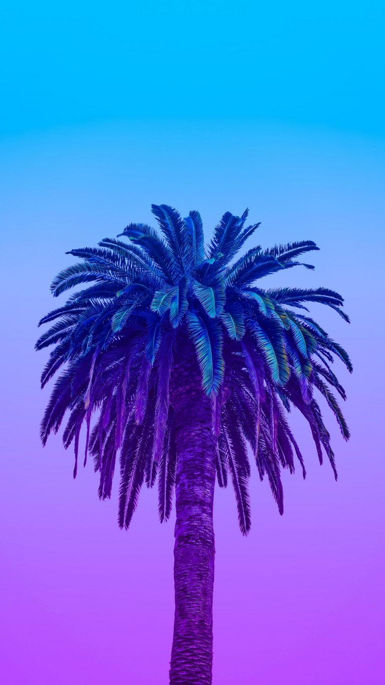 Tree Phone Wallpaper - 23