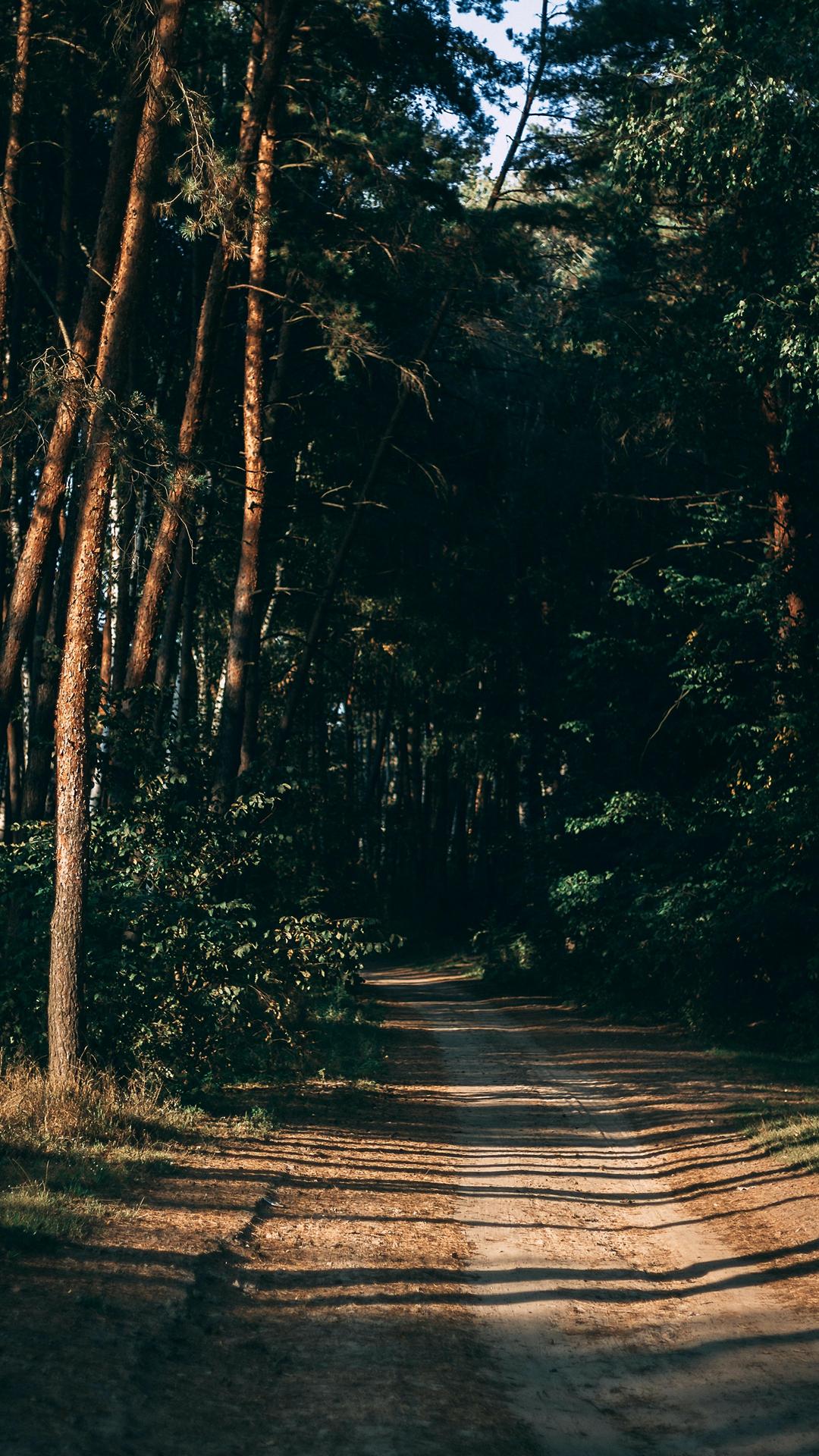 Tree Phone Wallpaper - 53