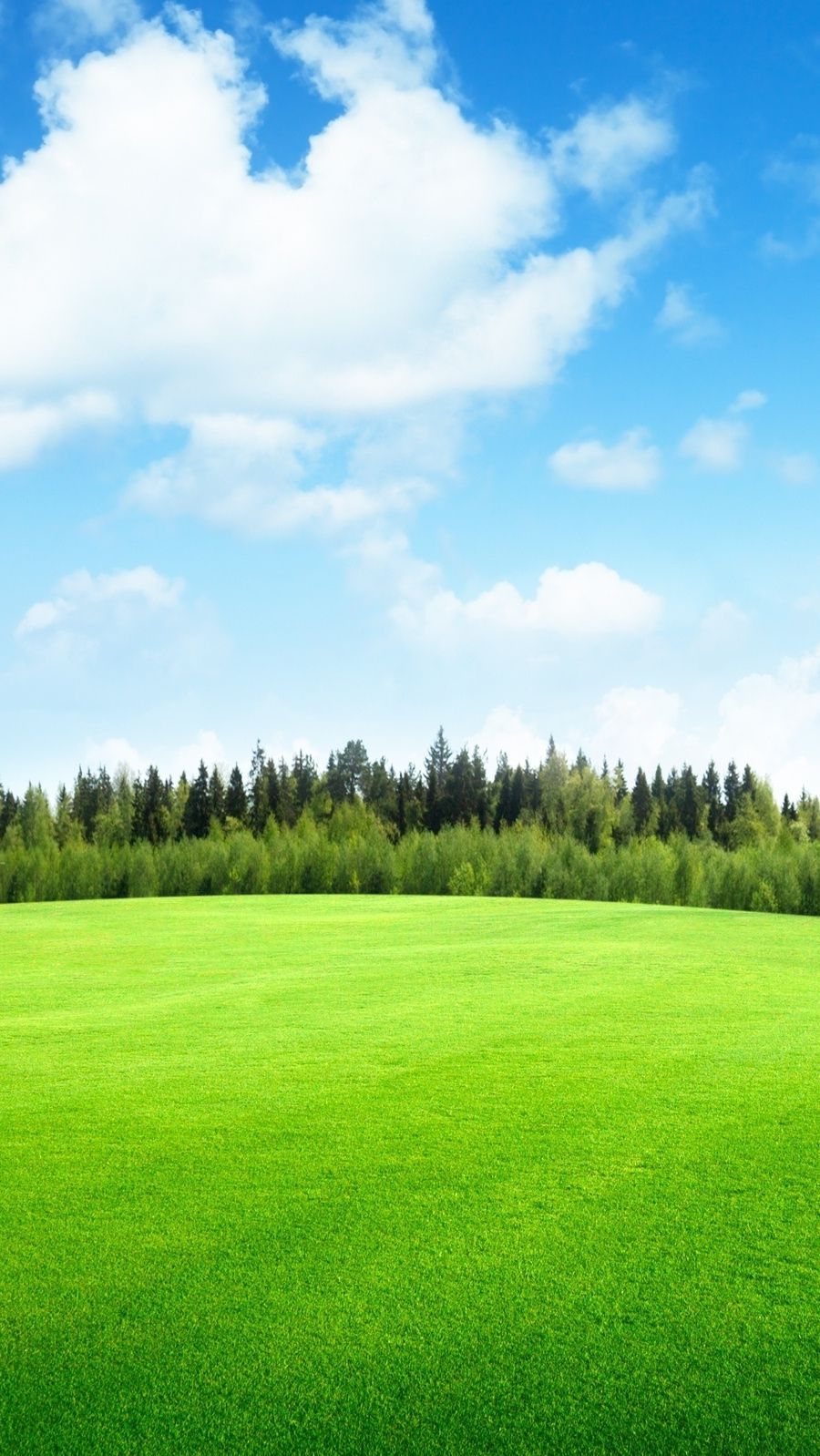 Green Grass Wallpaper - 29