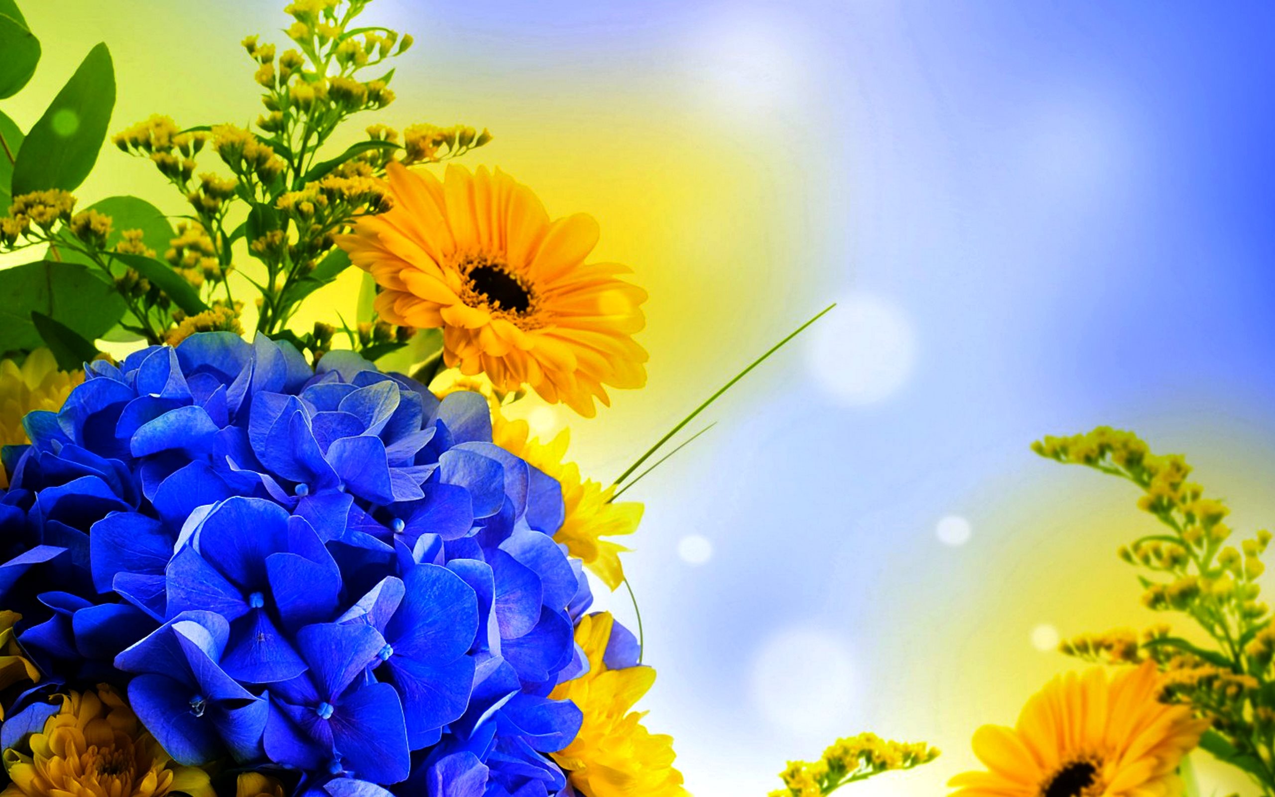 Spring Petals - [2560 x 1600]