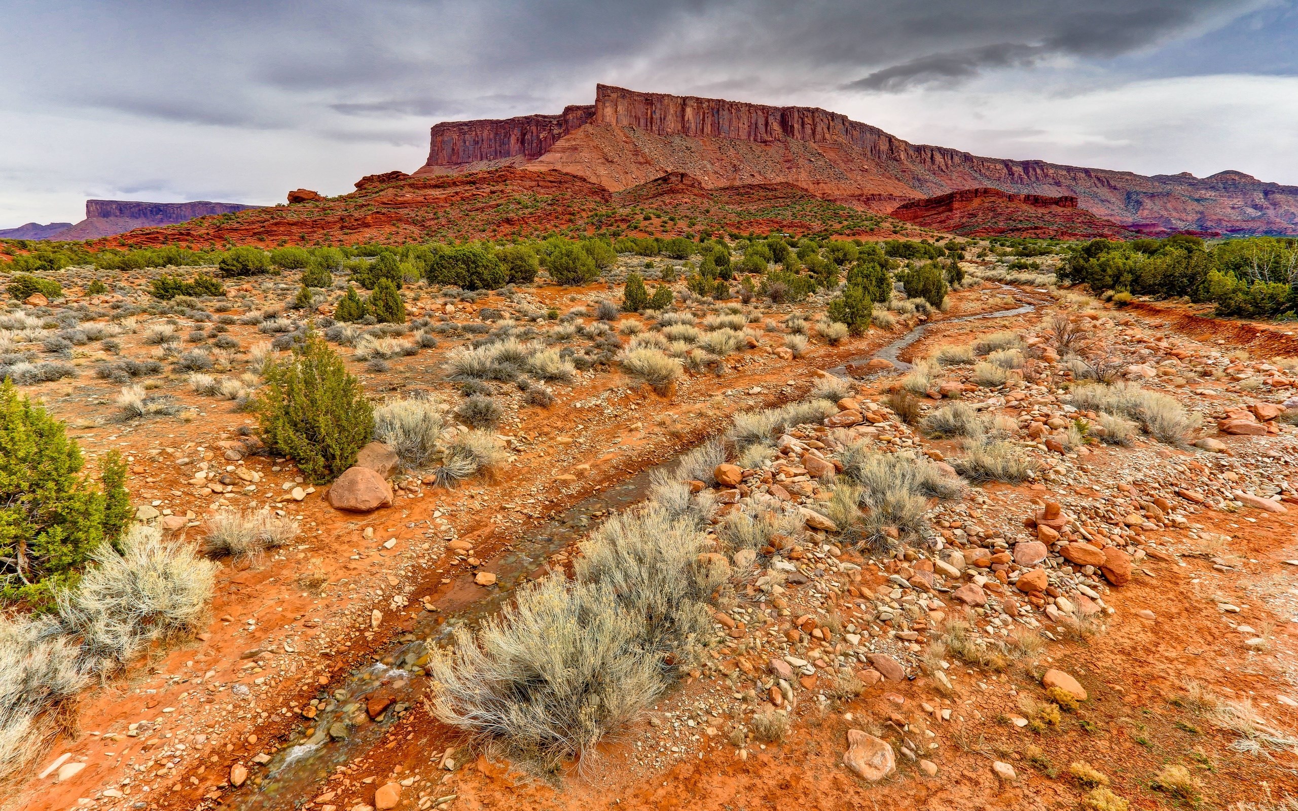 Usa Utah Mountain Field Stream - [2560 x 1600]