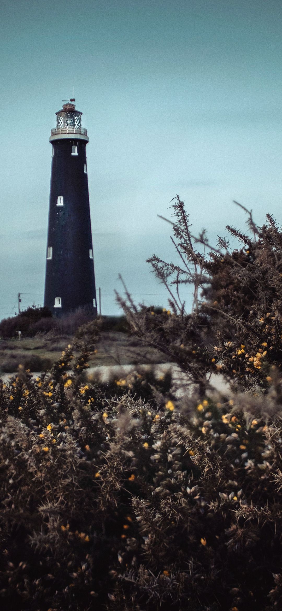 Lighthouse Phone Wallpaper [1080x2340] - 022
