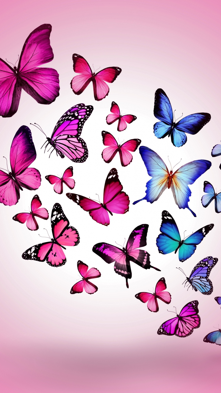 Butterfly Drawing Flying Colorful Background Pink
