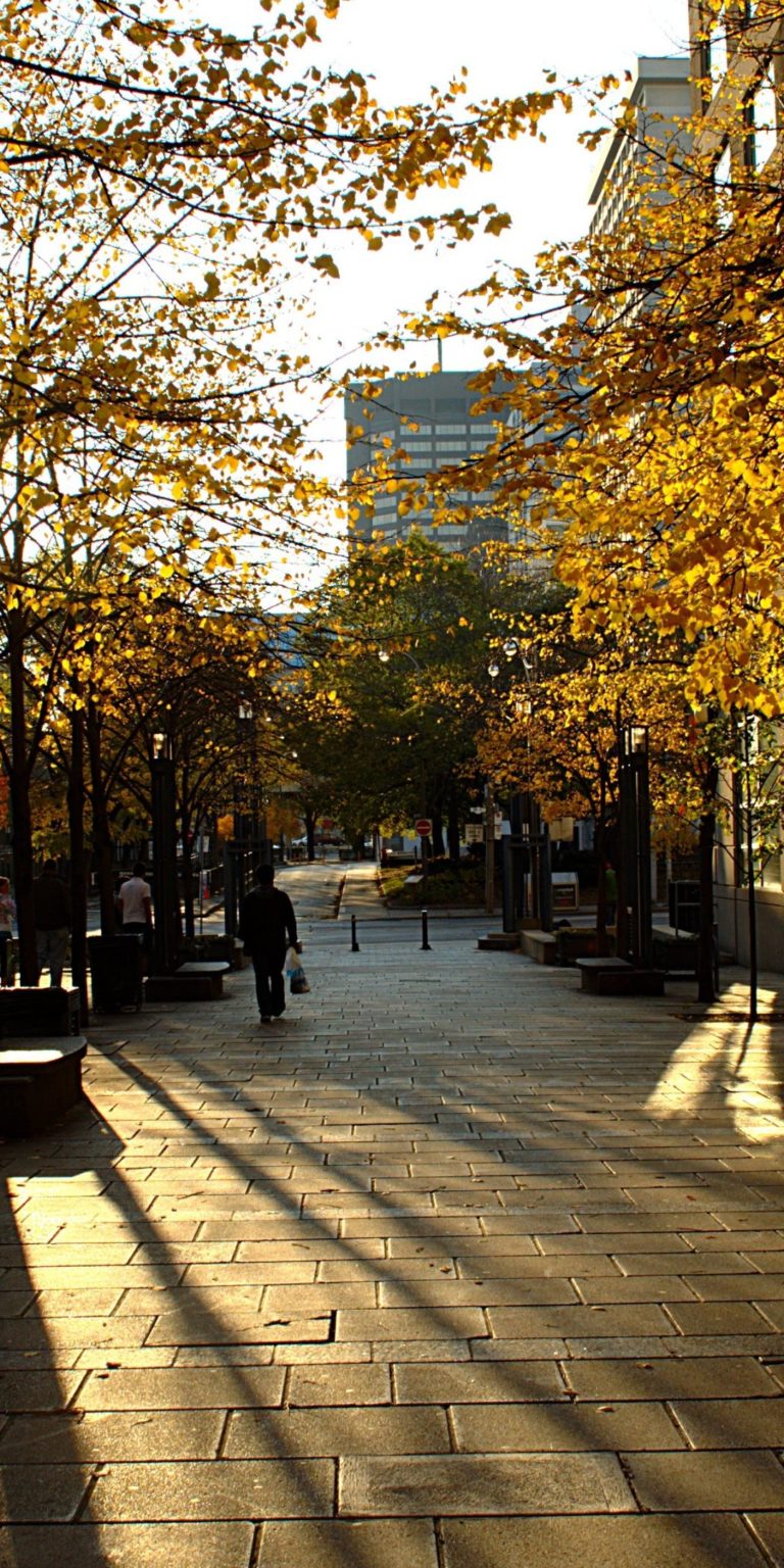 Toronto Ultra HD Wallpaper [1080x2160]