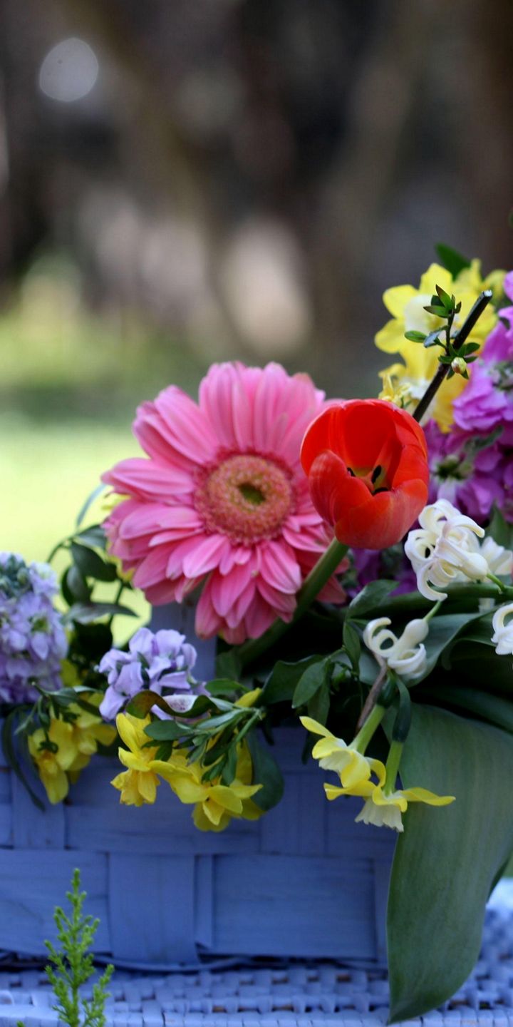 Philips PH1 Wallpapers HD