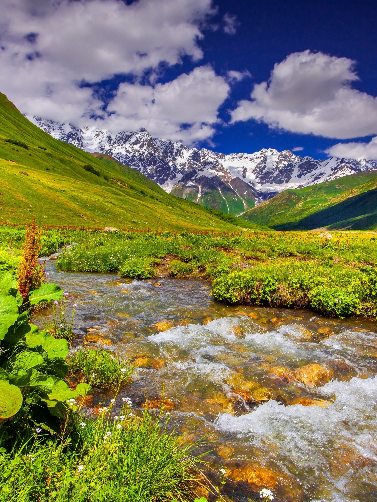 Scenery Mountains Stream Grass Wallpaper - [1536x2048]