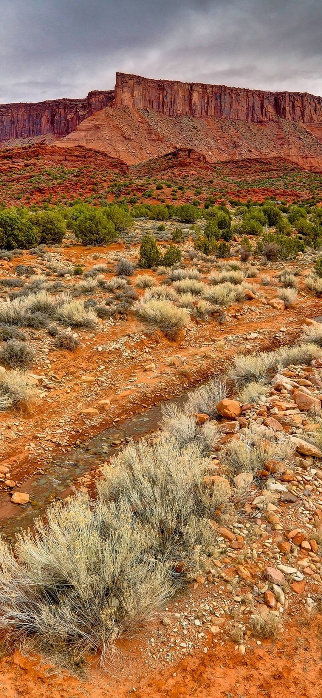 Usa Utah Mountain Field Stream - [1080x2340]