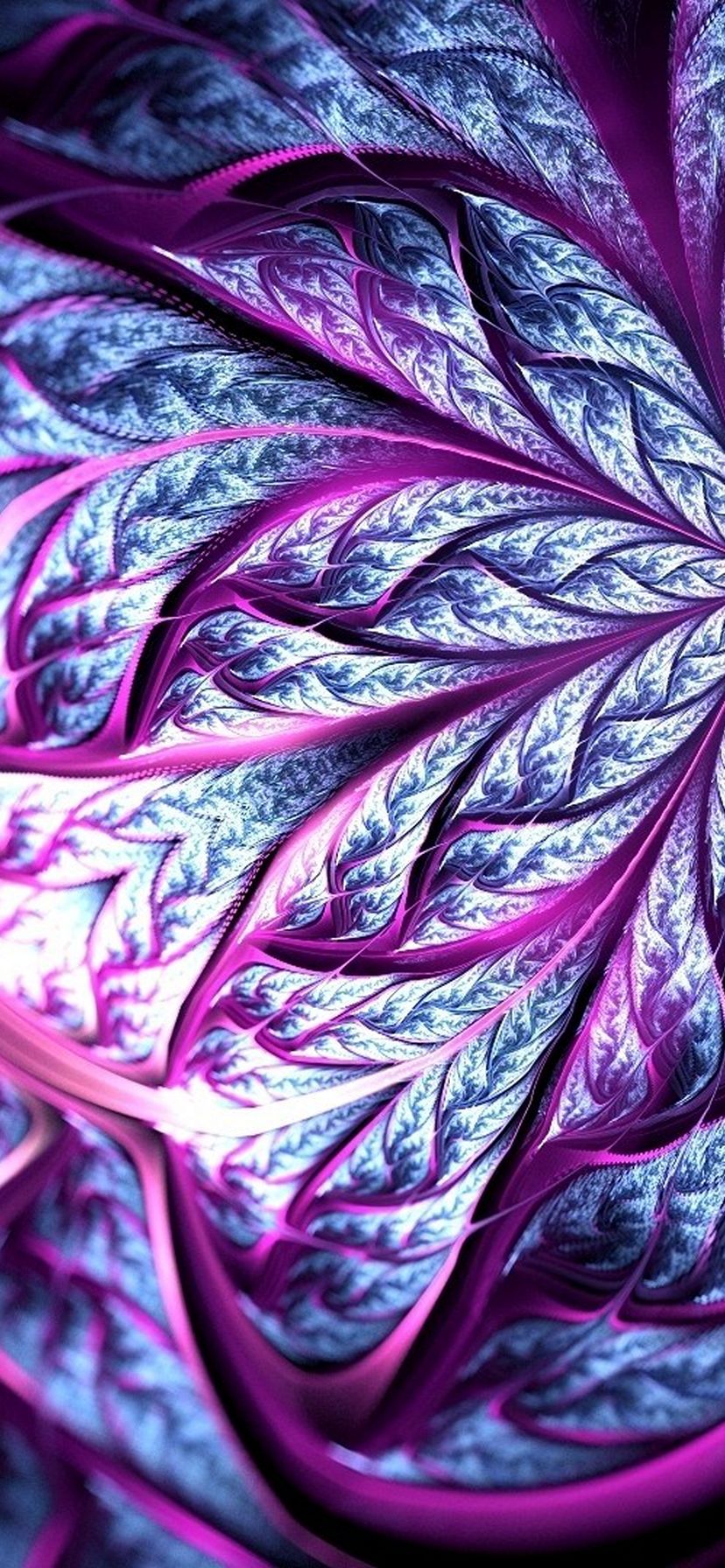 828x1792 Wallpaper - 216