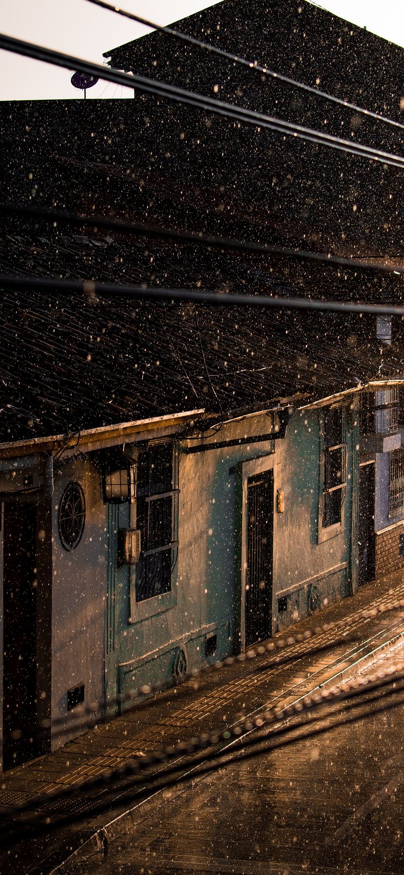 828x1792 Wallpaper - 273