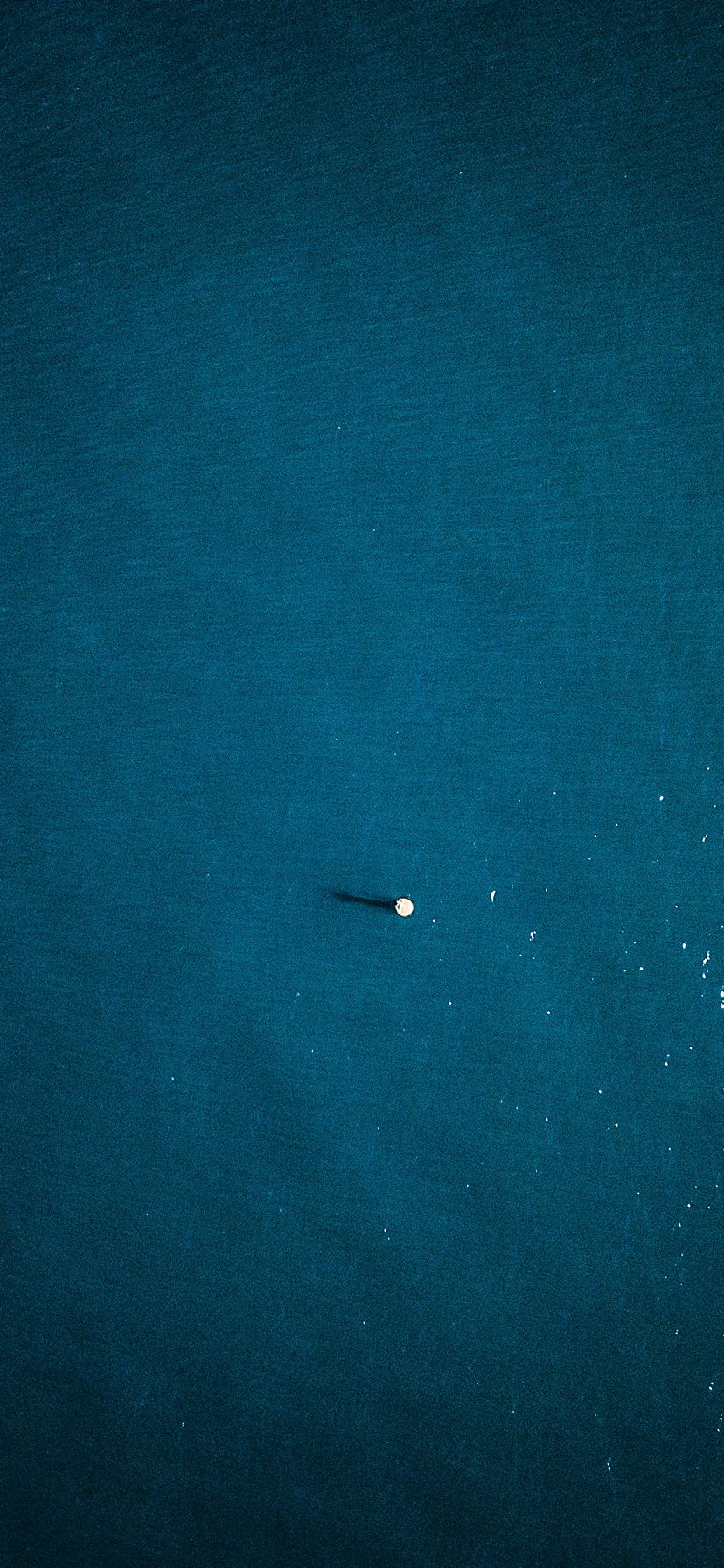 828x1792 Wallpaper - 279