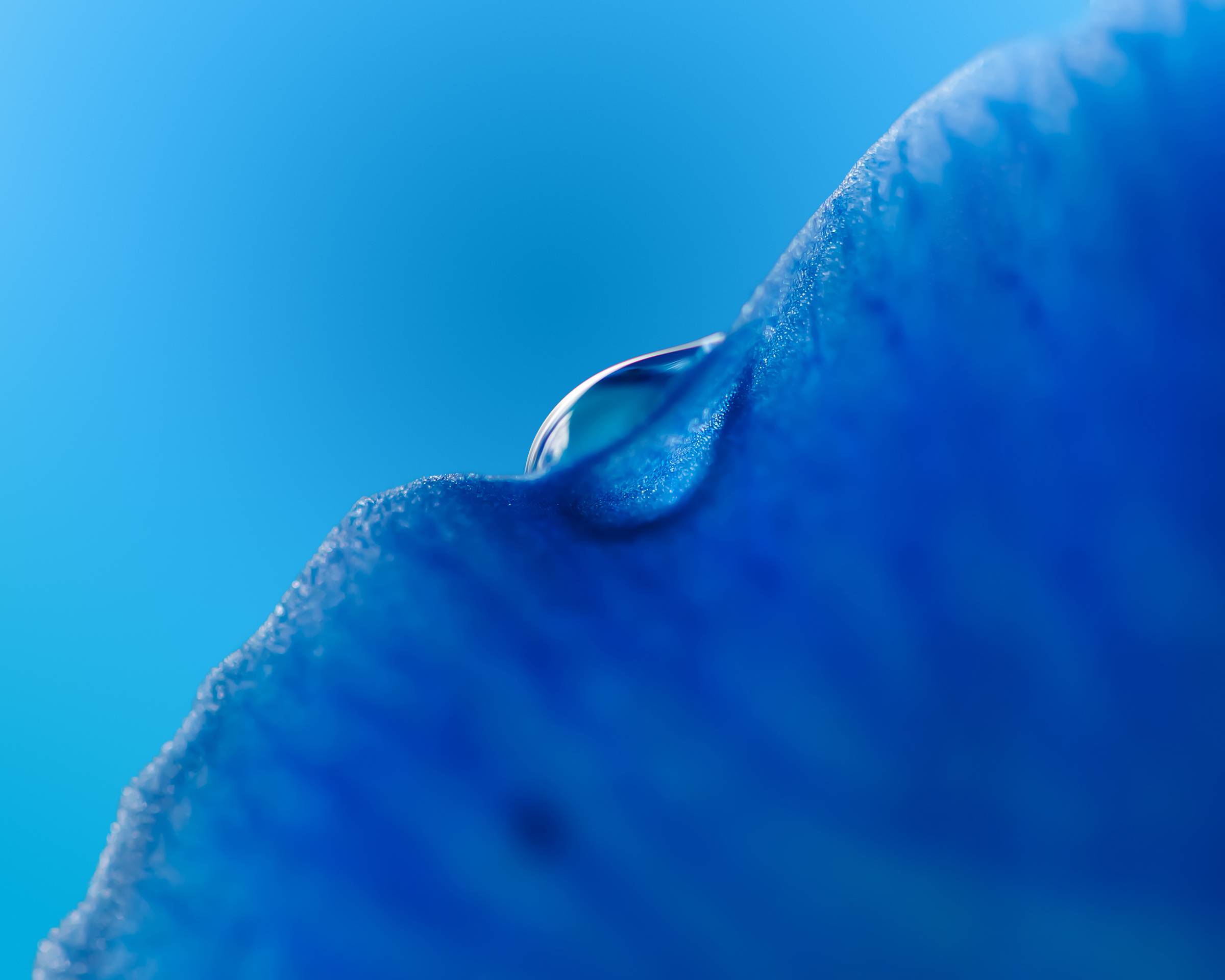 Huawei MediaPad T5 Stock Wallpaper 2 - [2400x1920]