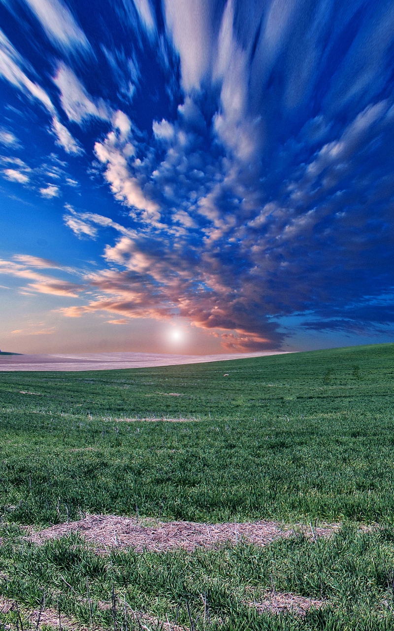 Field Horizon Sky Evening Grass - [800x1280]