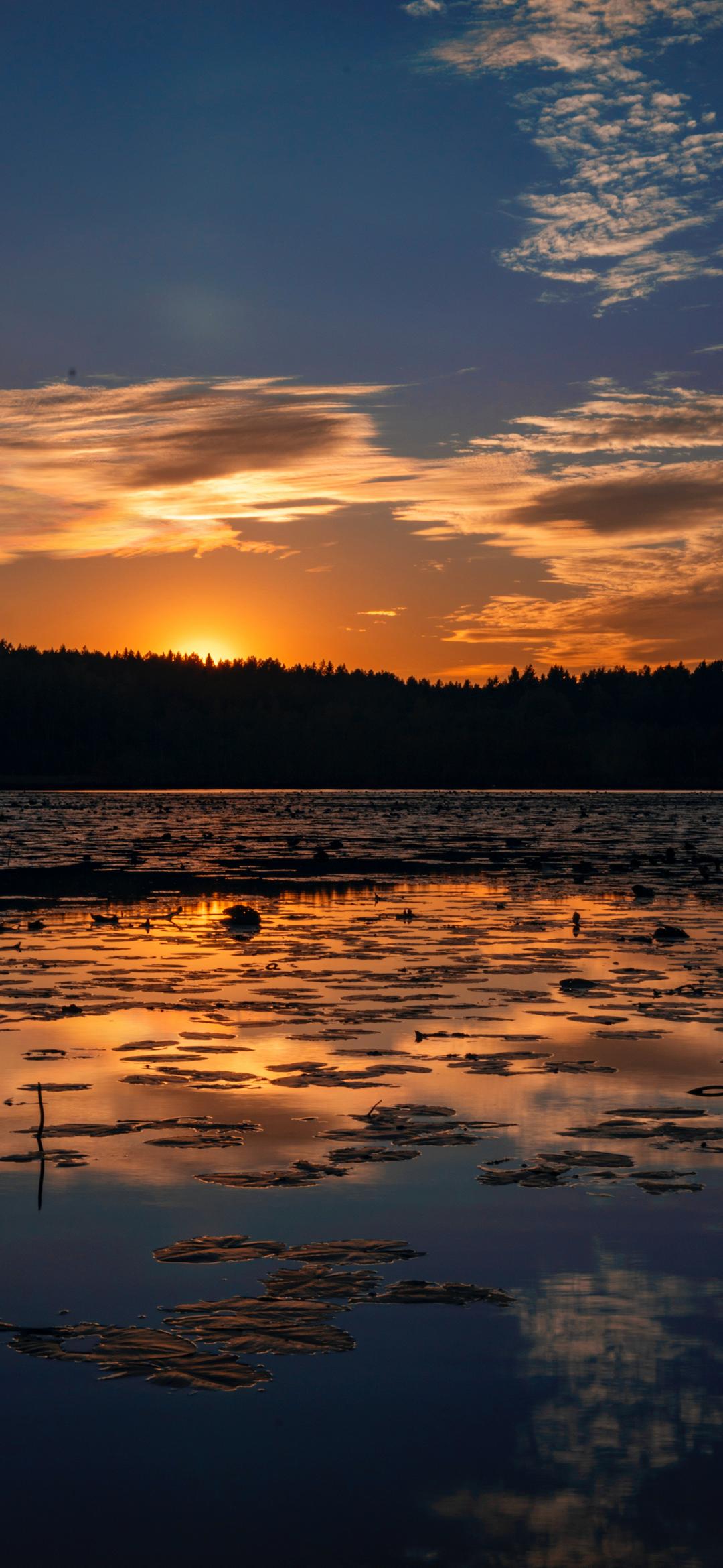 Sunrise Phone Wallpaper [1080x2340] - 037