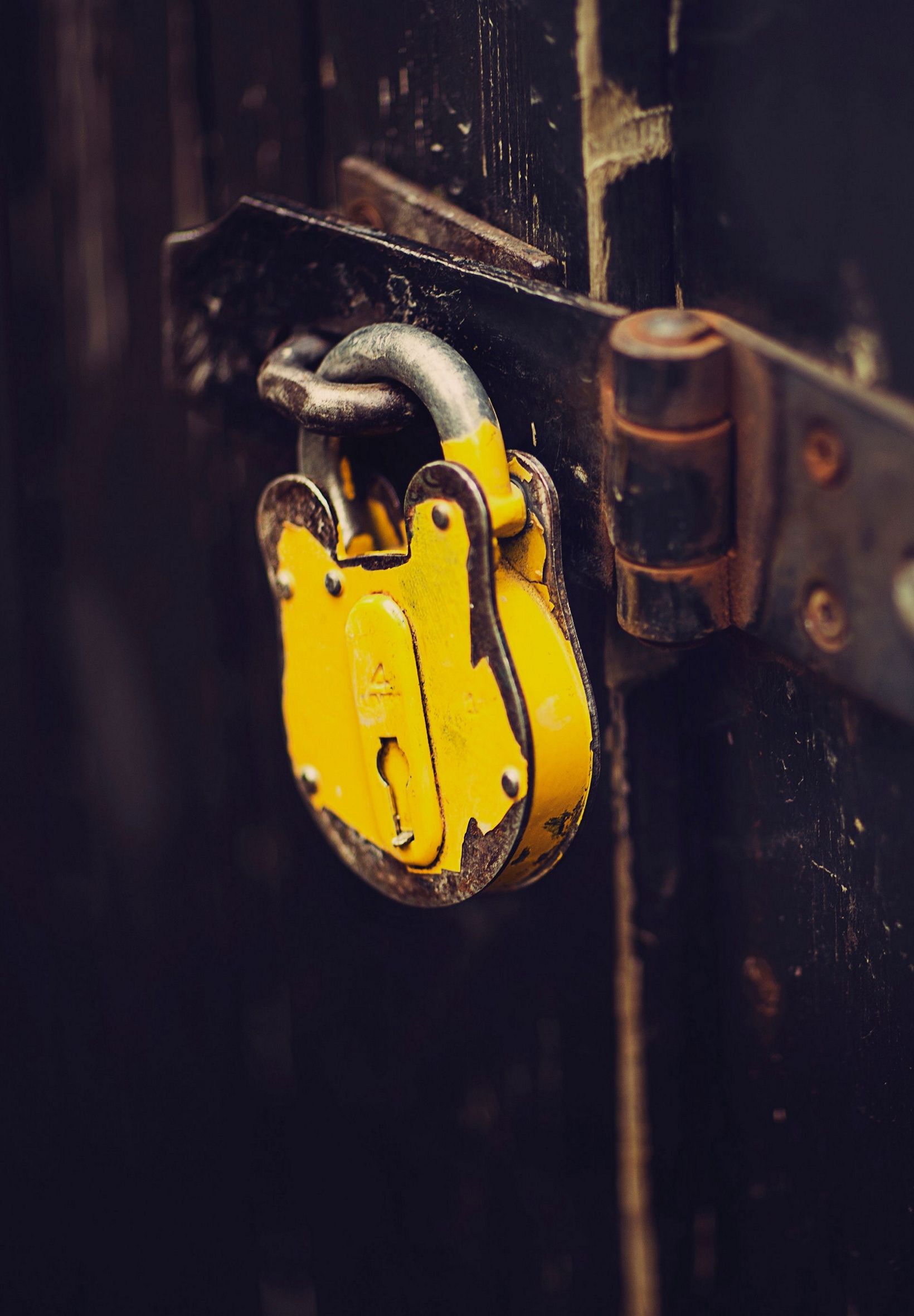 Lock Rust Yellow - [1640x2360]