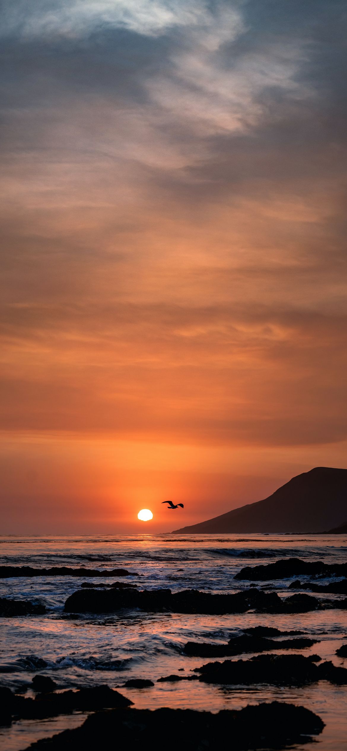 Home Screen Wallpaper - 058